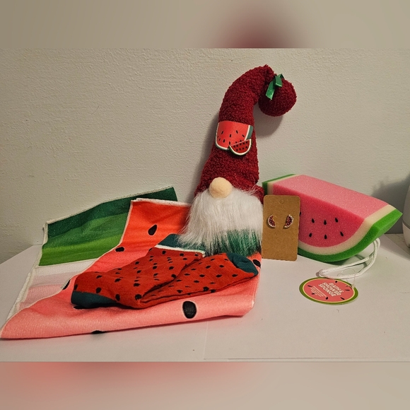 Other | Watermelon Bundle | Poshmark